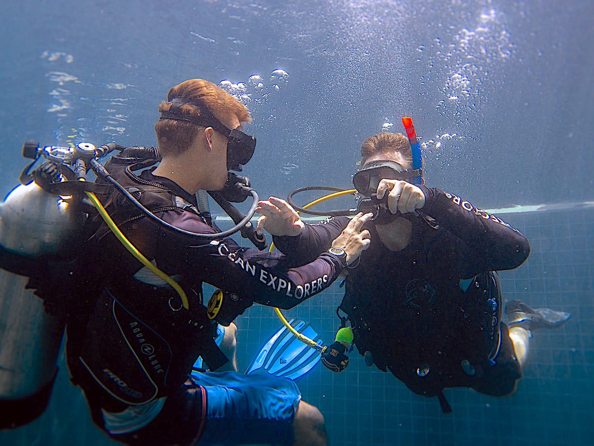 PADI Divemaster Internship Koh Tao in Thailand